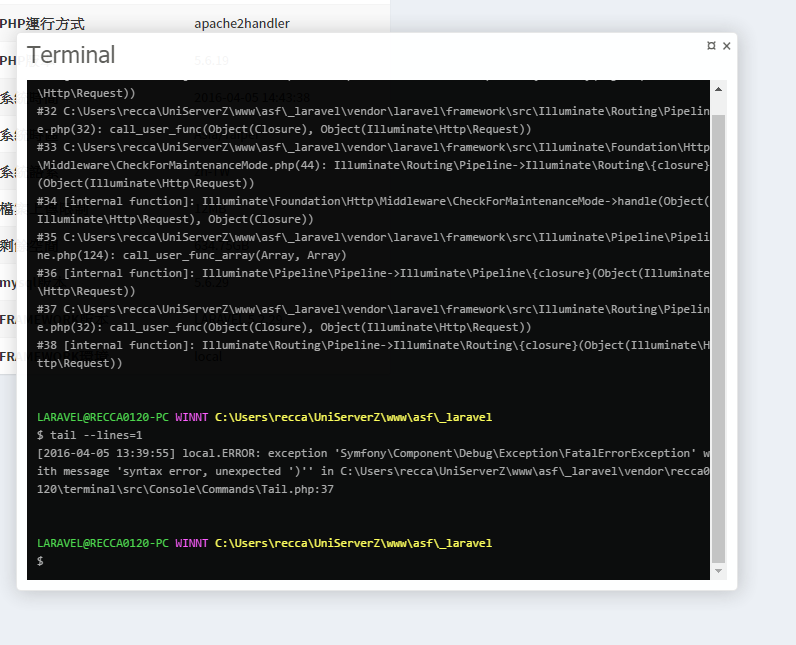 run laravel artisan command in web application