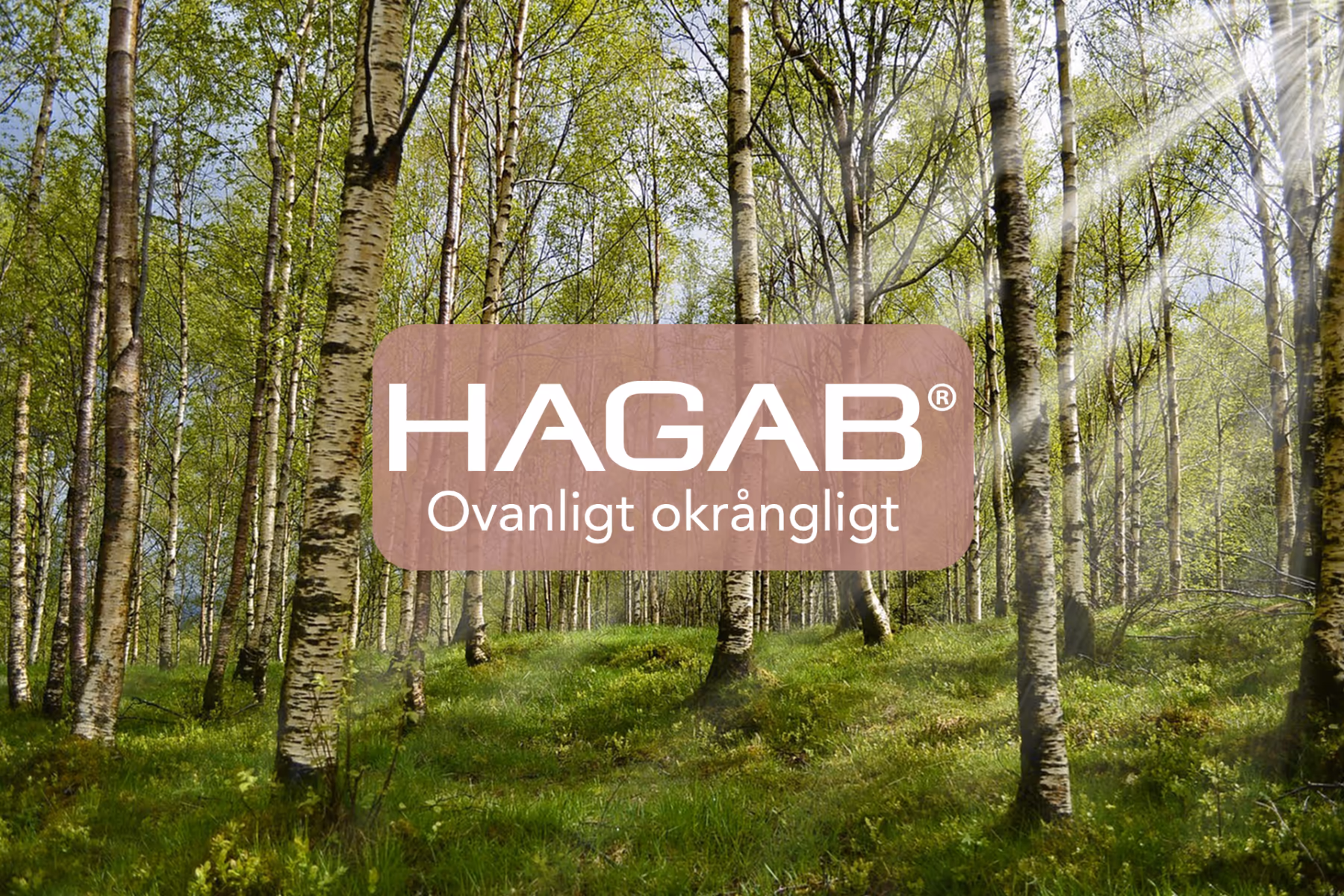 Trevlig sommar! - Hagab