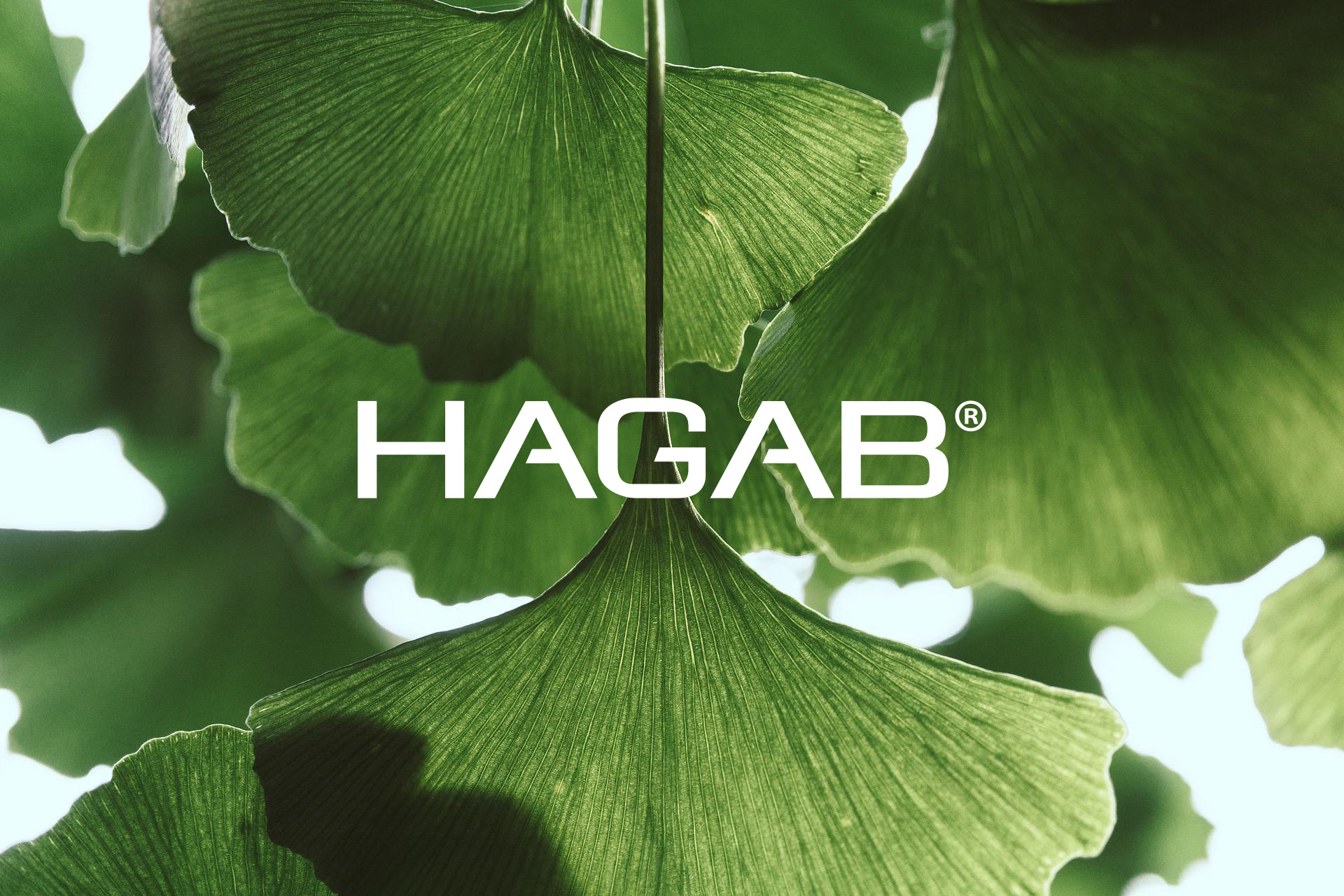 Våra öppetider i vår & sommar 2025 - Hagab